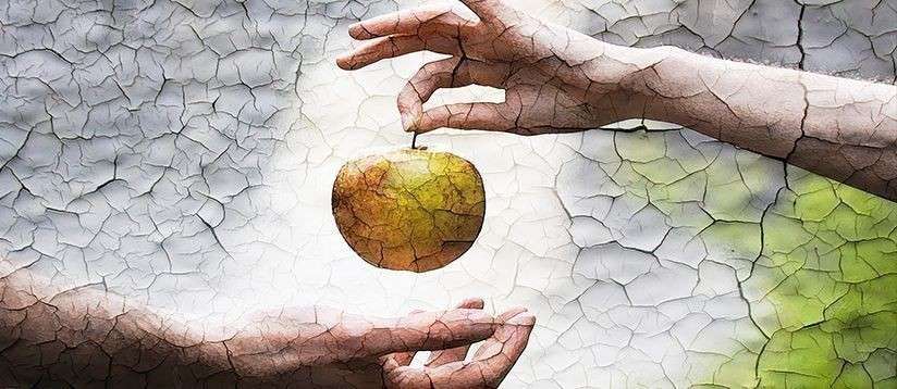 Prophets in the Quran : Adam - Nour Academy